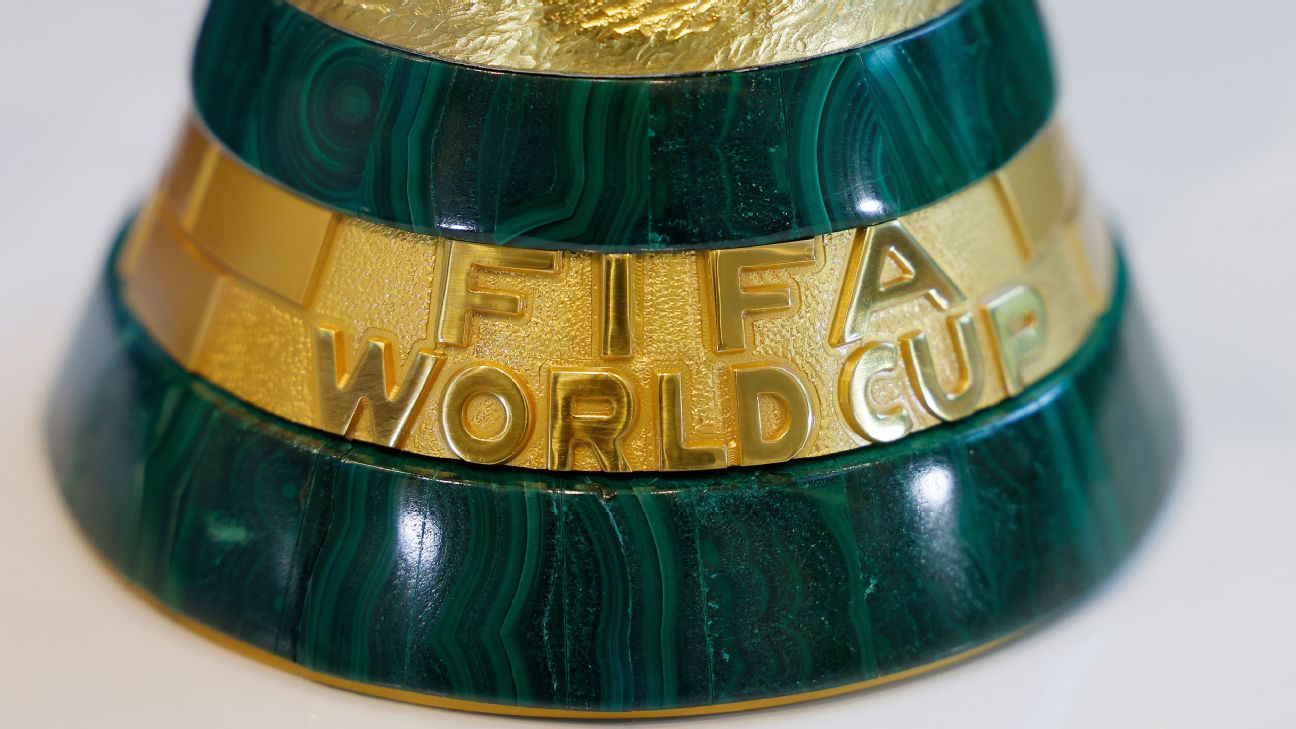 World Cup ticket holders can get priority visa interviews