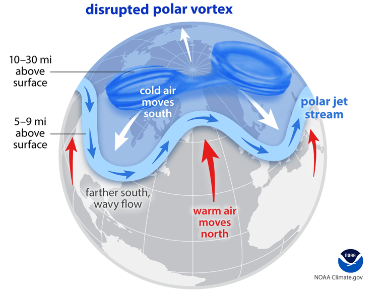 Polar Vortex & Favorable Conditions Setting up a Cold & Snowy December