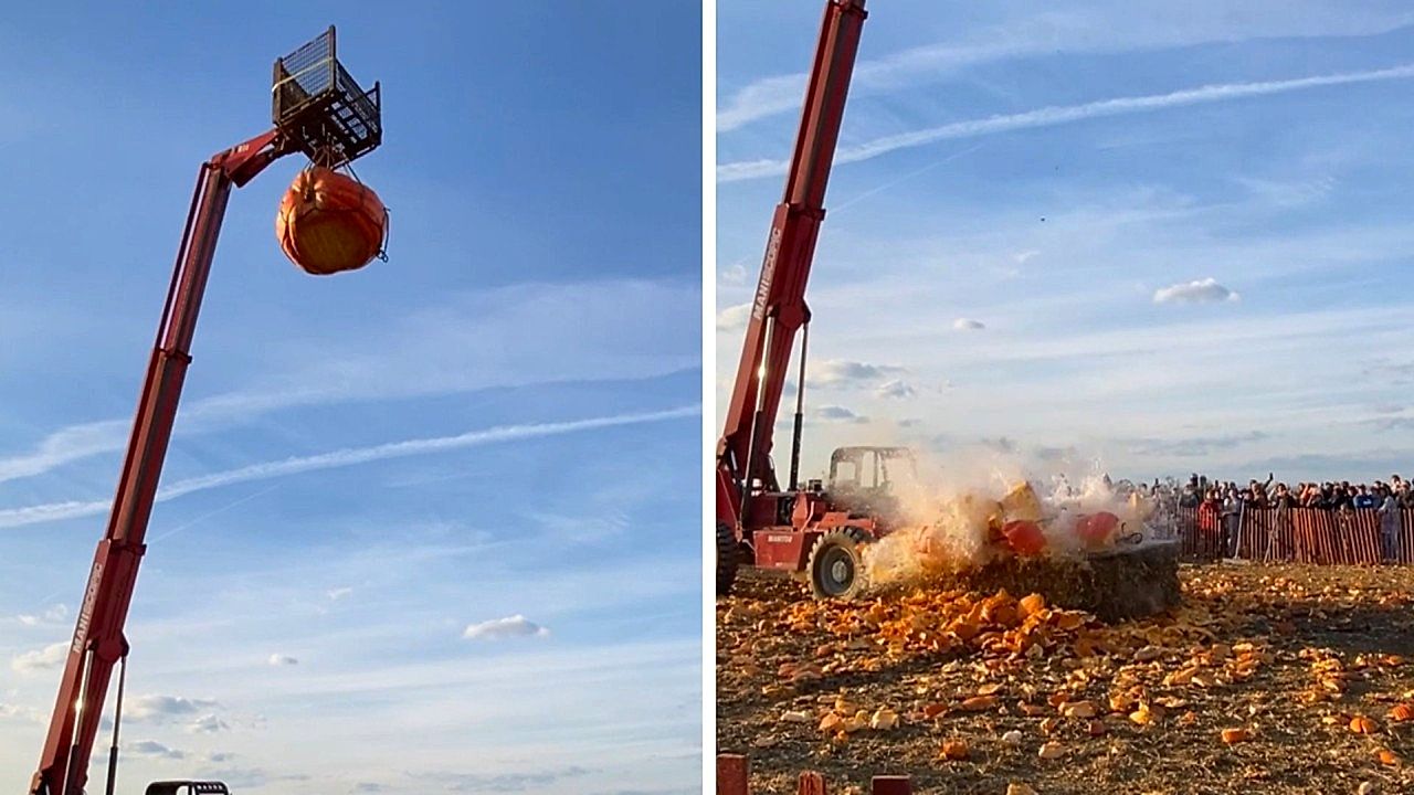 Smashing pumpkins! Giant pumpkin dropped by crane explodes at Cherry ...