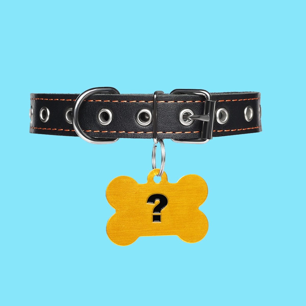 These Are the Most Popular Dog Names of 2025—Is Your Pup’s Name on the ...