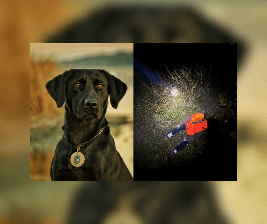 Arkansas Game and Fish Commission K9 tracks down missing hunter in ...