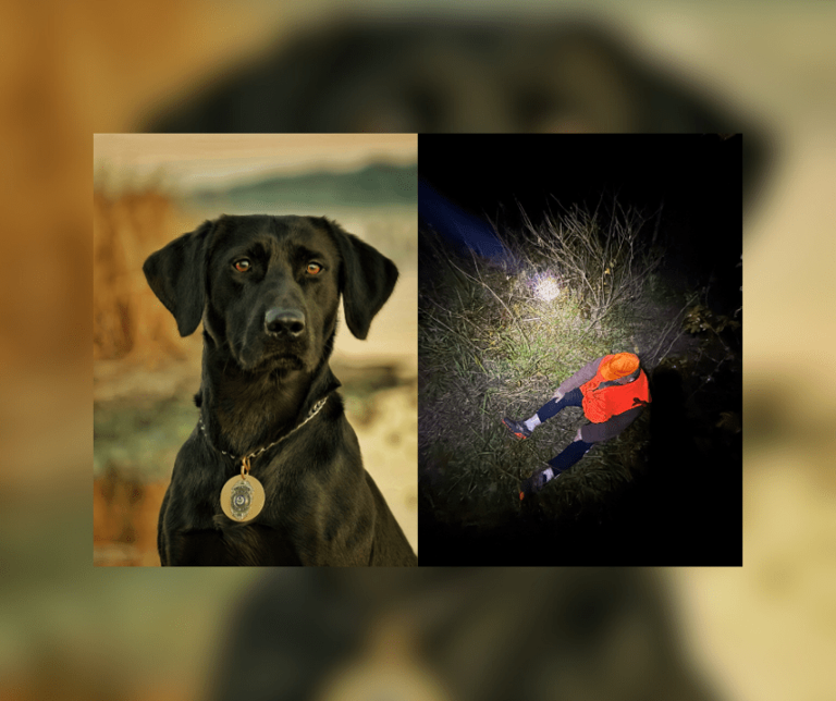 Arkansas Game and Fish Commission K9 tracks down missing hunter in ...
