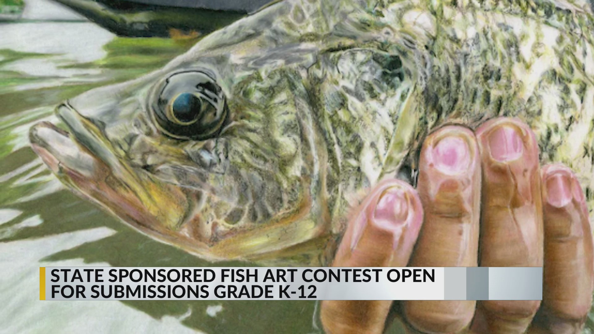 Department of Game and Fish sponsors Fish Art Competition