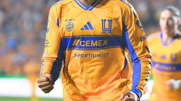 Chicago homeowners see big spikes in property tax bills, report shows