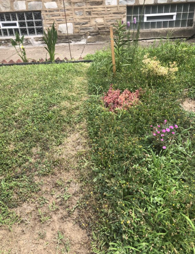 Homeowner shares striking side-by-side photo showing how much their ...