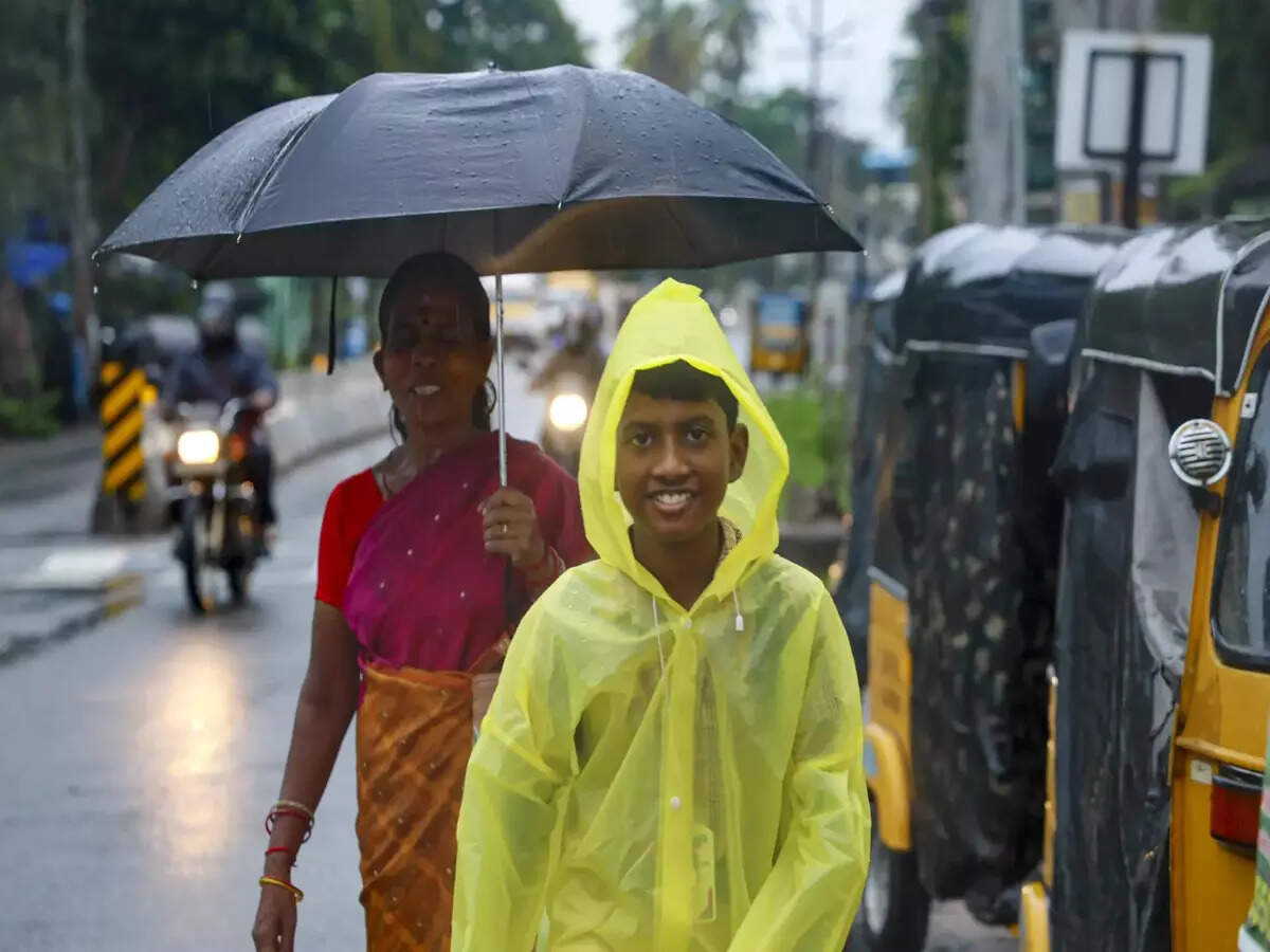 Tamil Nadu weather: Are schools open or closed in Chennai today due to ...
