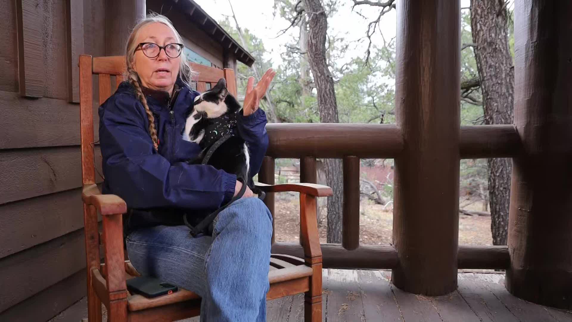 Cat reunited with owner after surviving 6 weeks alone at Grand Canyon