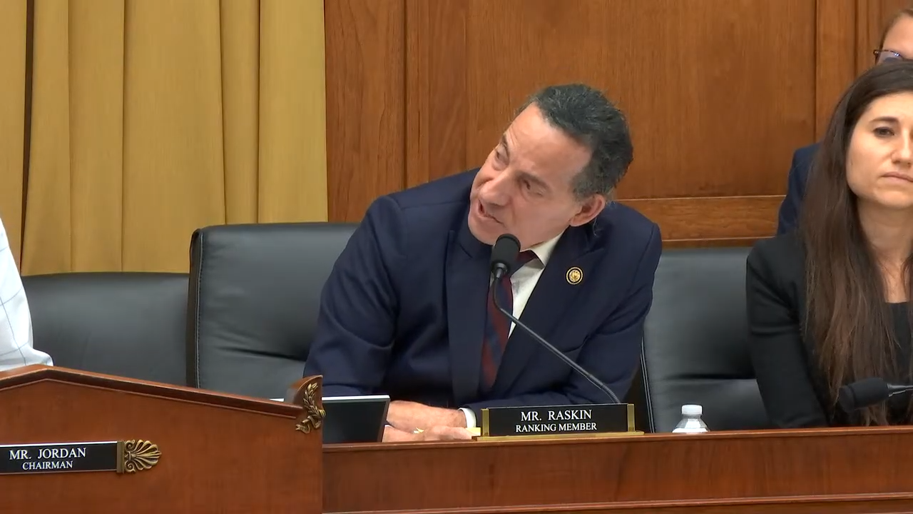 'I've Heard Enough From You': Jamie Raskin Puts Noisy GOP Colleague In ...
