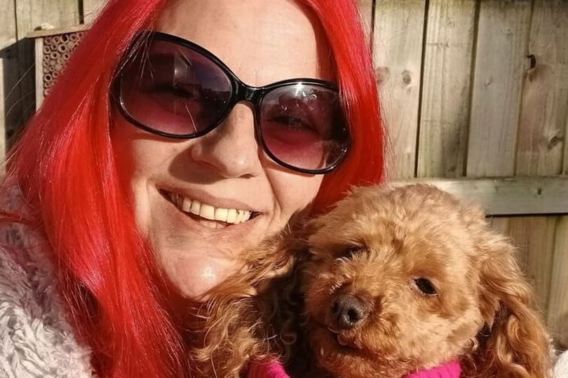 Time running out for Hull rescue centre owner and 39 animals being ...