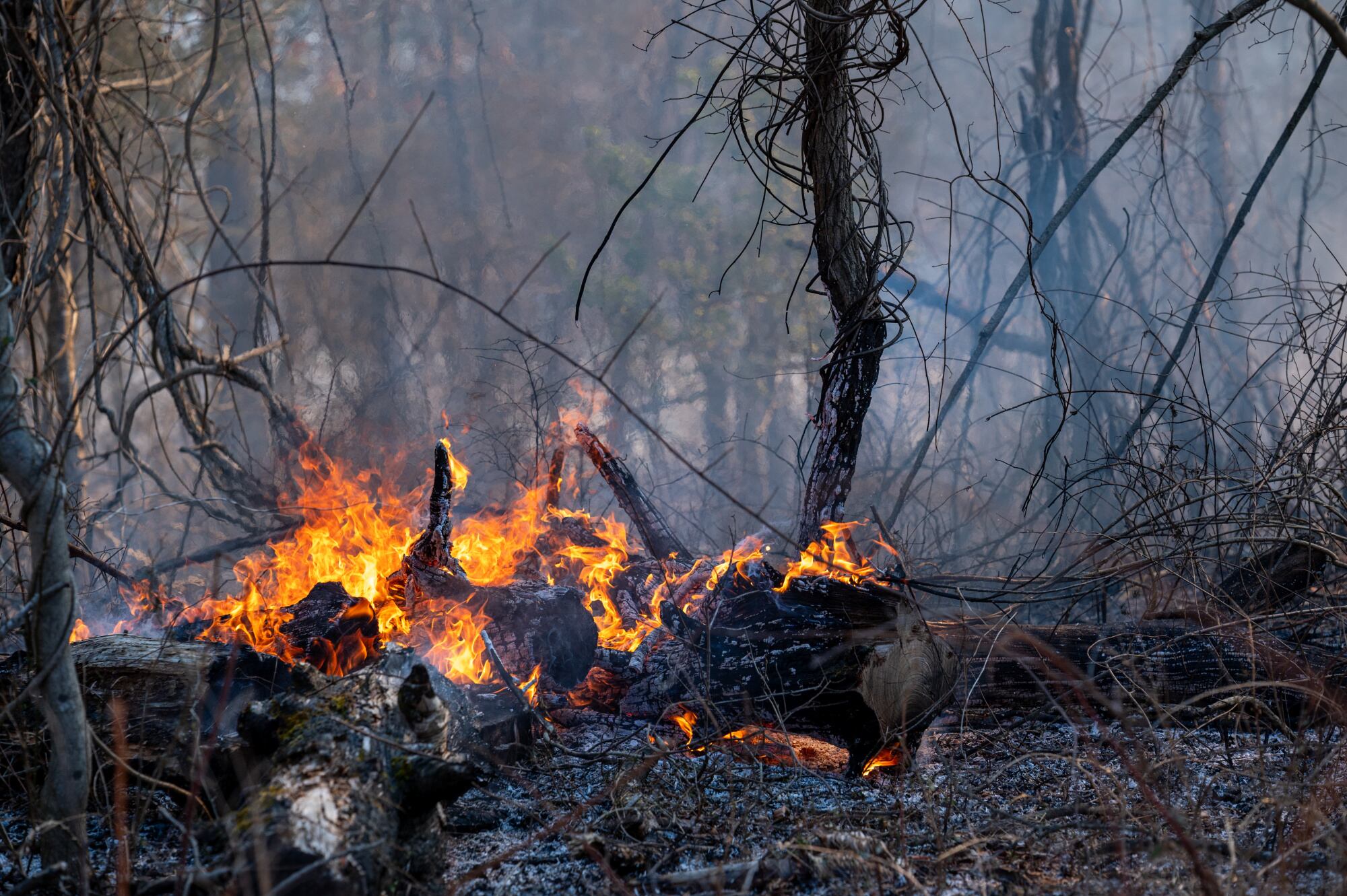Bear Den Mountain Fire still burning in Shenandoah National Park, 80% ...