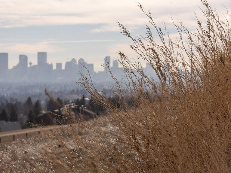 Foul play not suspected after human remains found on Nose Hill