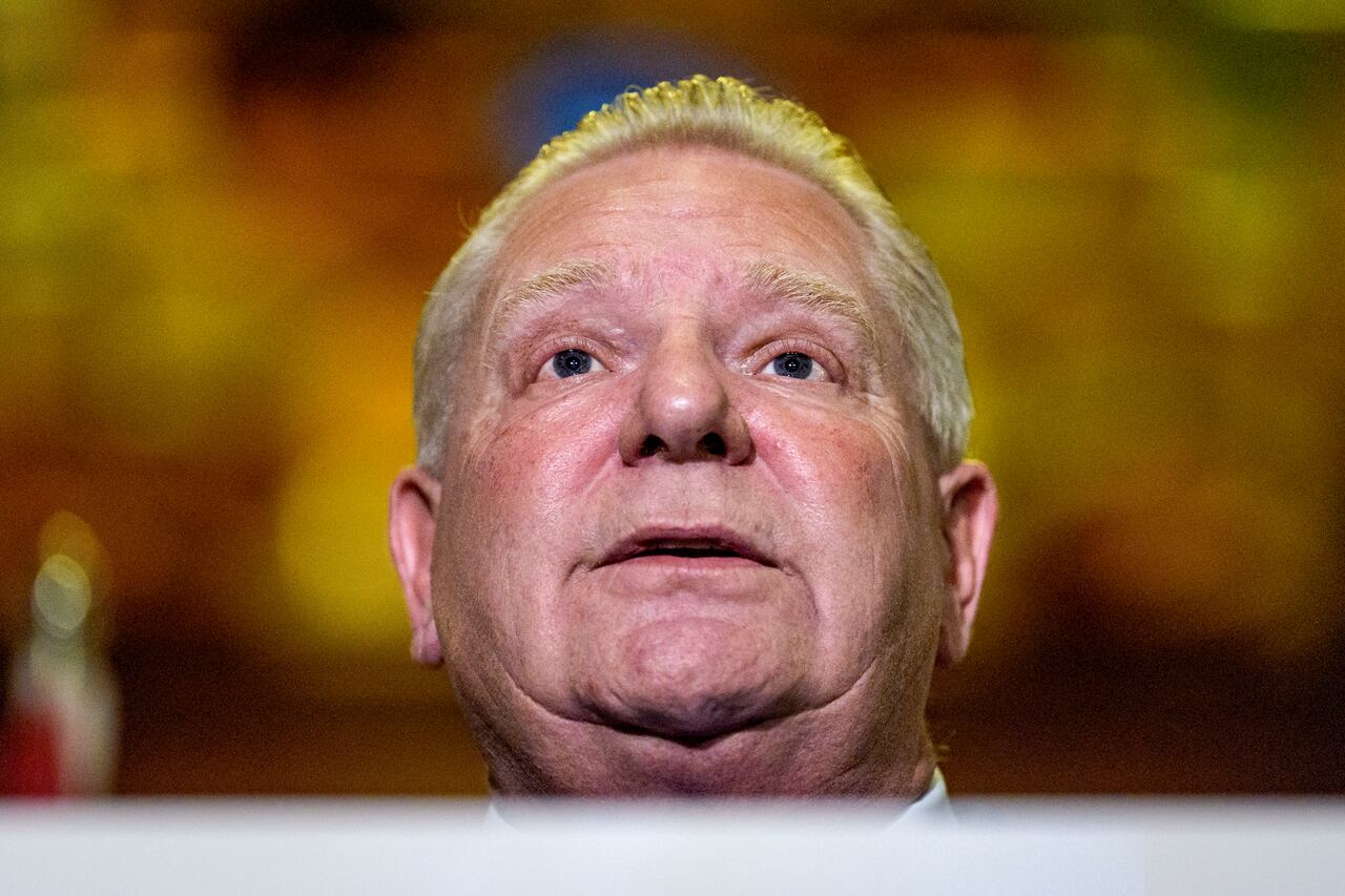 Skills Development Fund recipient wants audit released, says Ford ...