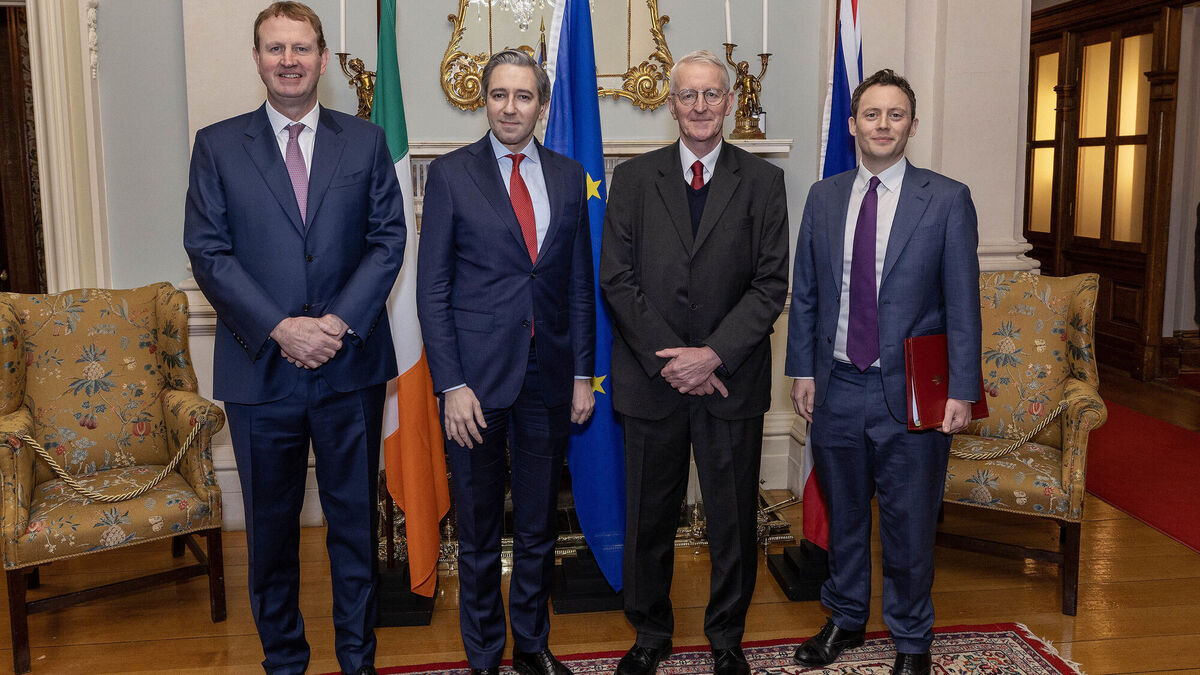 Ireland may need to review asylum laws to respond to UK changes, says ...