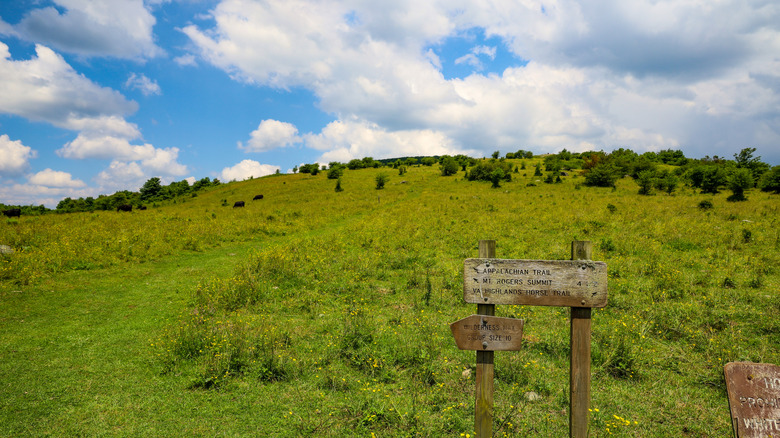 A Quiet Virginia Community Hidden In The Blue Ridge Mountains Is A ...