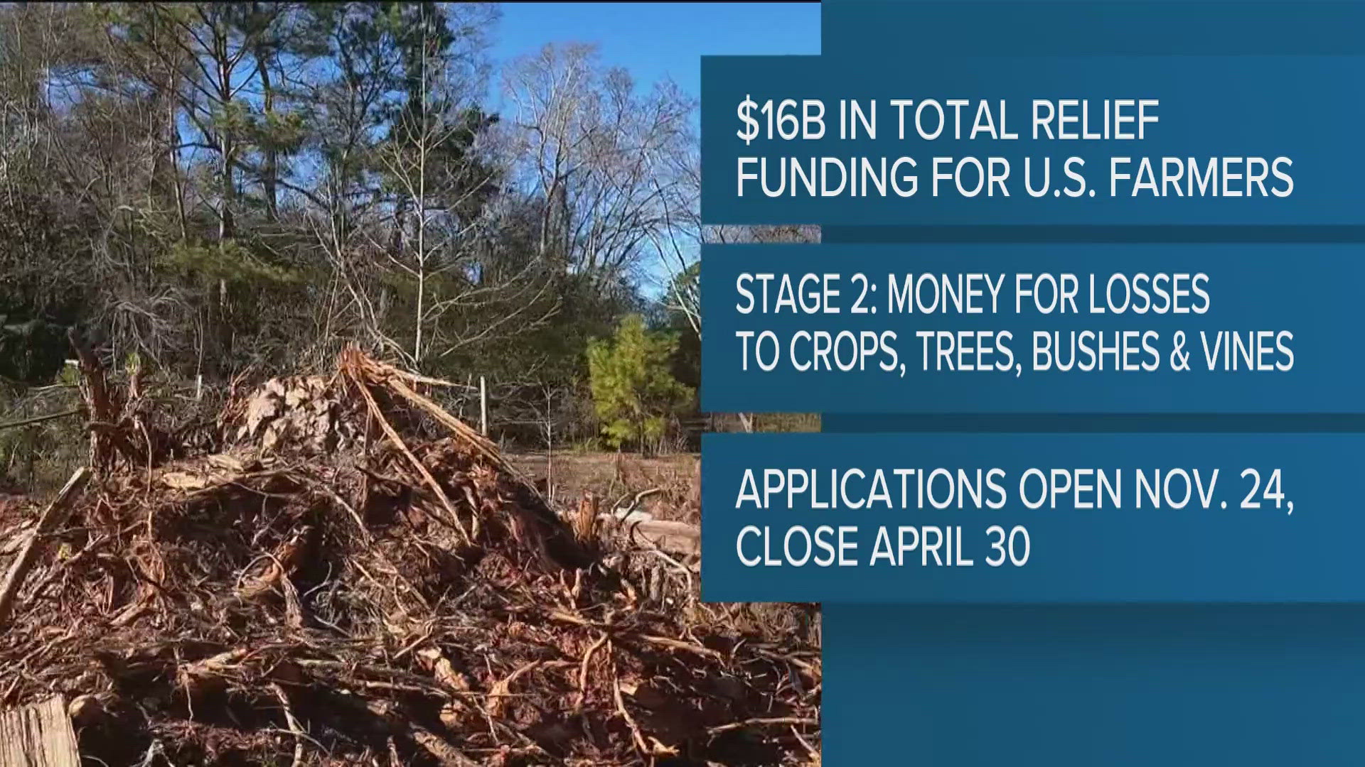 Farmers granted disaster relief aid in Georgia