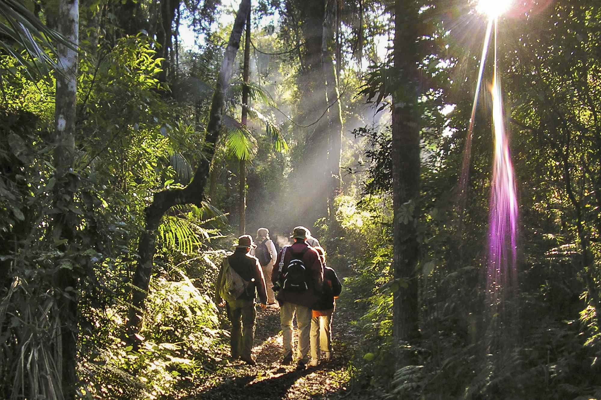 I Went Off-grid in Argentina’s Rain Forest—Here’s What I Learned From ...