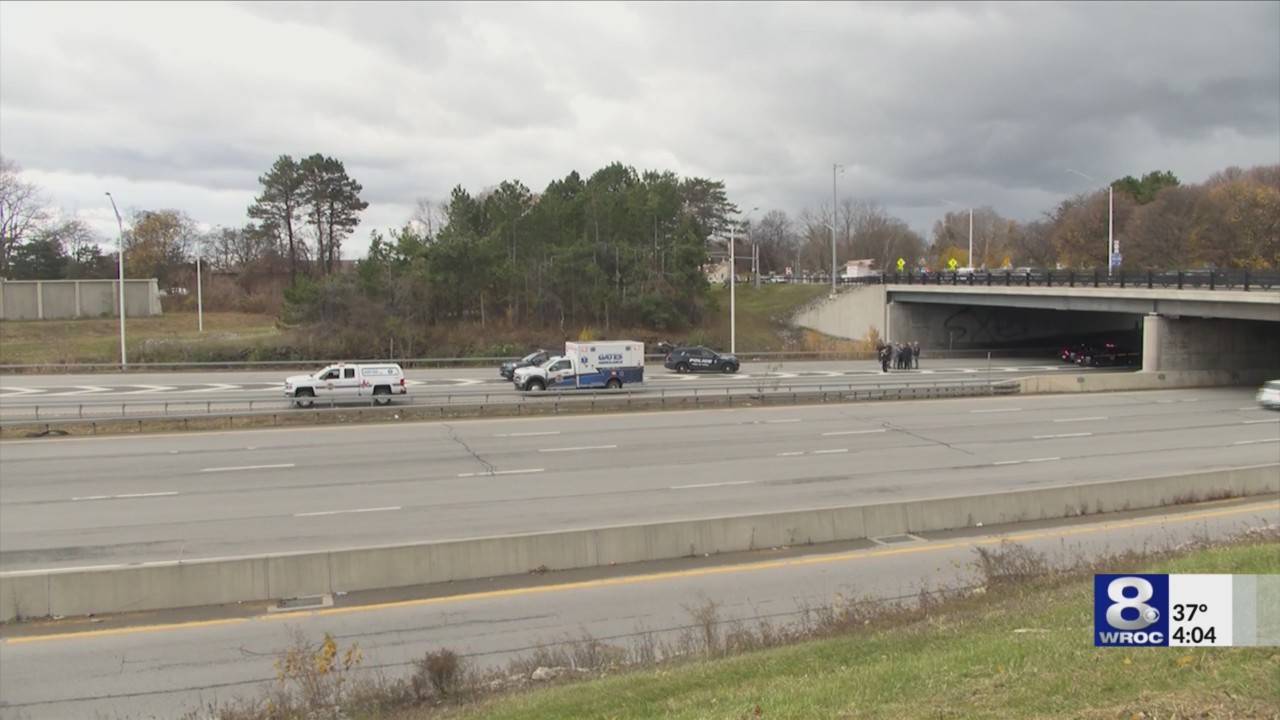 Police identify shoplifting suspect struck, killed on I-390 after ...