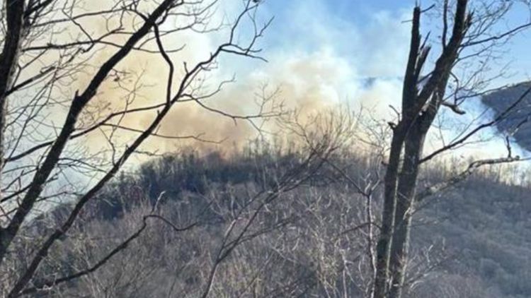 Avery County wildfire grows to 160 acres, 95% contained