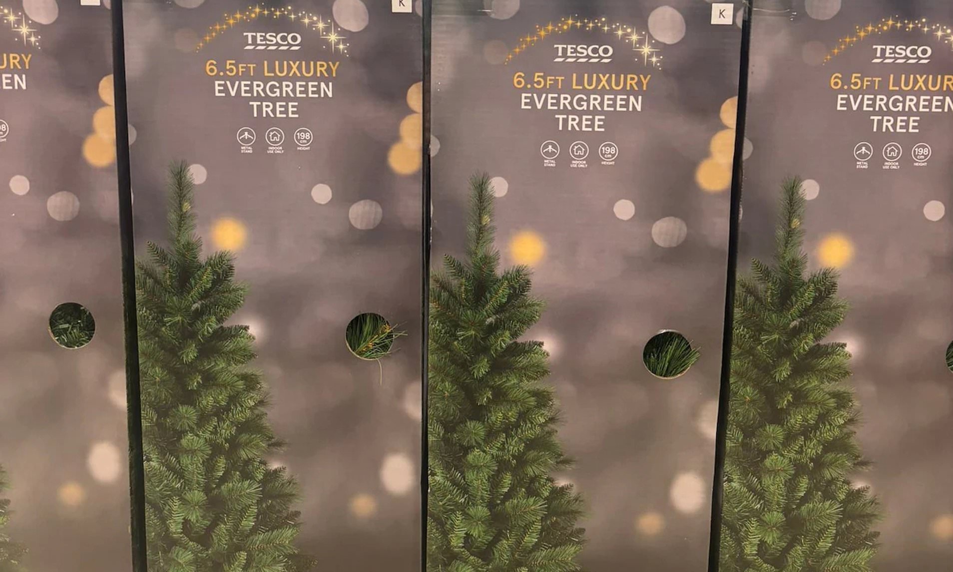 Britons rage over 'woke' Tesco's decision to rename Christmas trees as ...