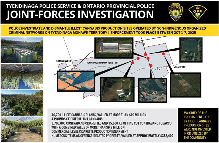 Cannabis plants worth $200M seized in raids on Tyendinaga Mohawk ...
