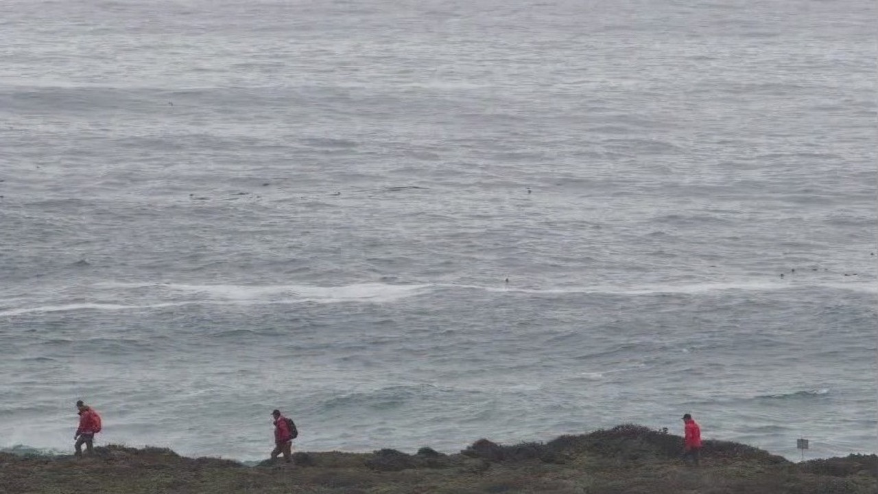 Father, daughter die after swept out to sea at California beach