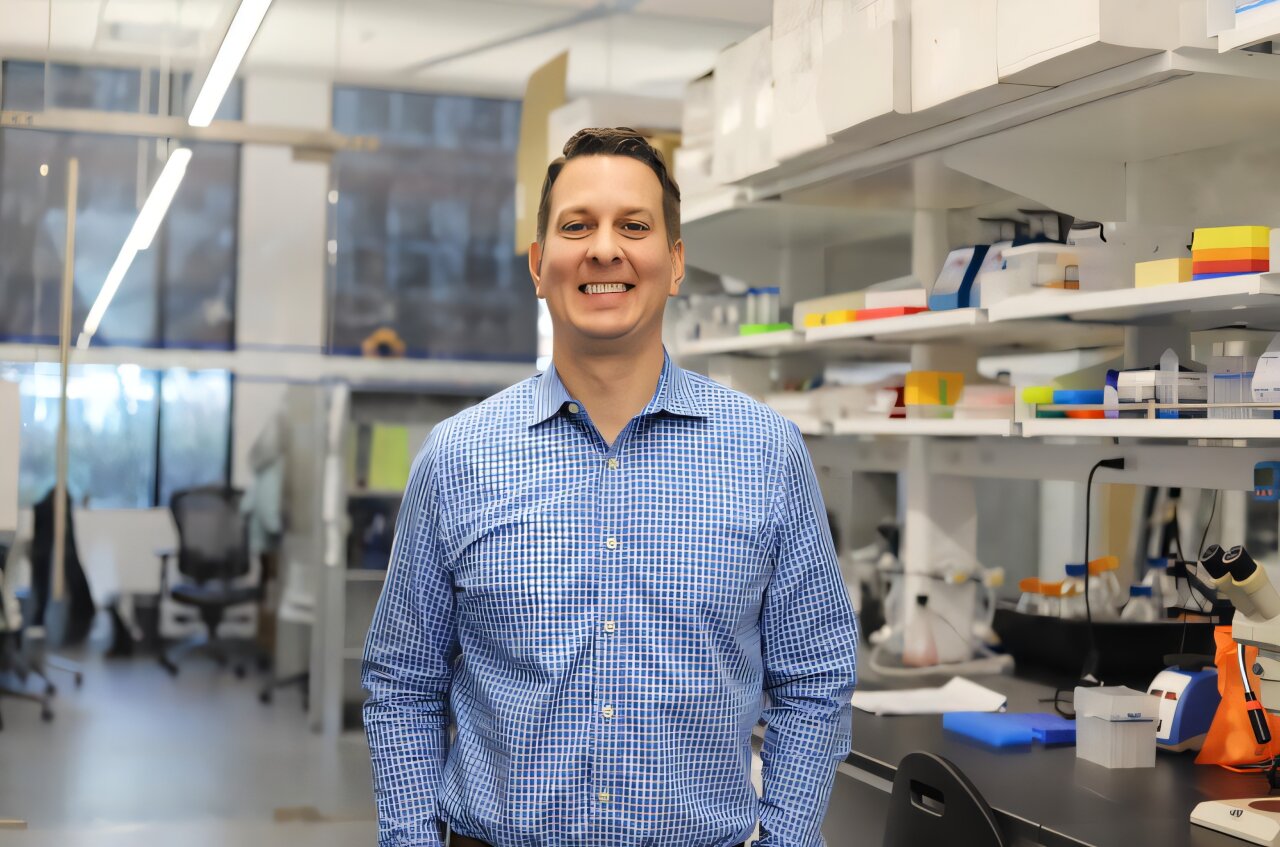 Gene 'switch' reverses Alzheimer's risk in experimental model