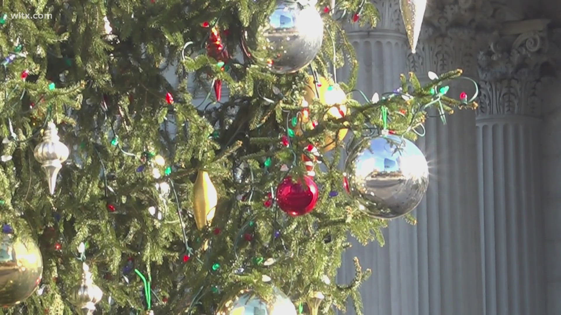 South Carolina Christmas tree all decorated