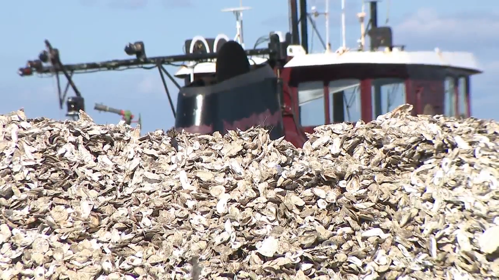 Georgetown Co. to proclaim Oyster Shell Recycling Week; new drop-off ...