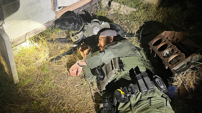 K-9 locates gun underneath shed that was used in Wauchula gas station ...