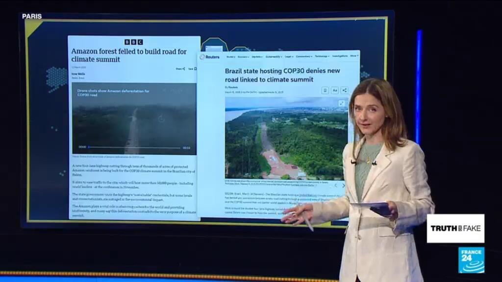 No, Amazon rainforest trees were not cut down for COP 30