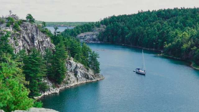 Researchers raise alarm about worsening crisis plaguing Great Lakes ...