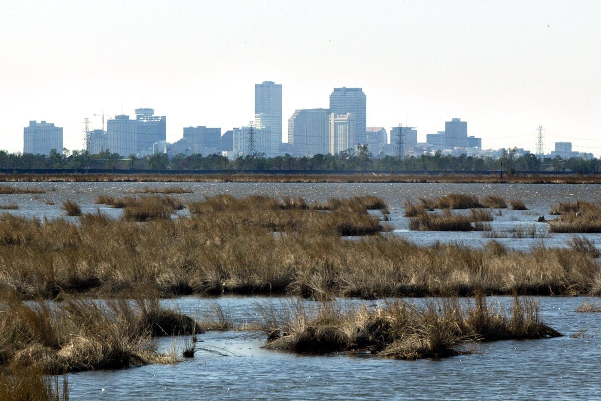 New EPA rule could cut Clean Water Act protections for wetlands