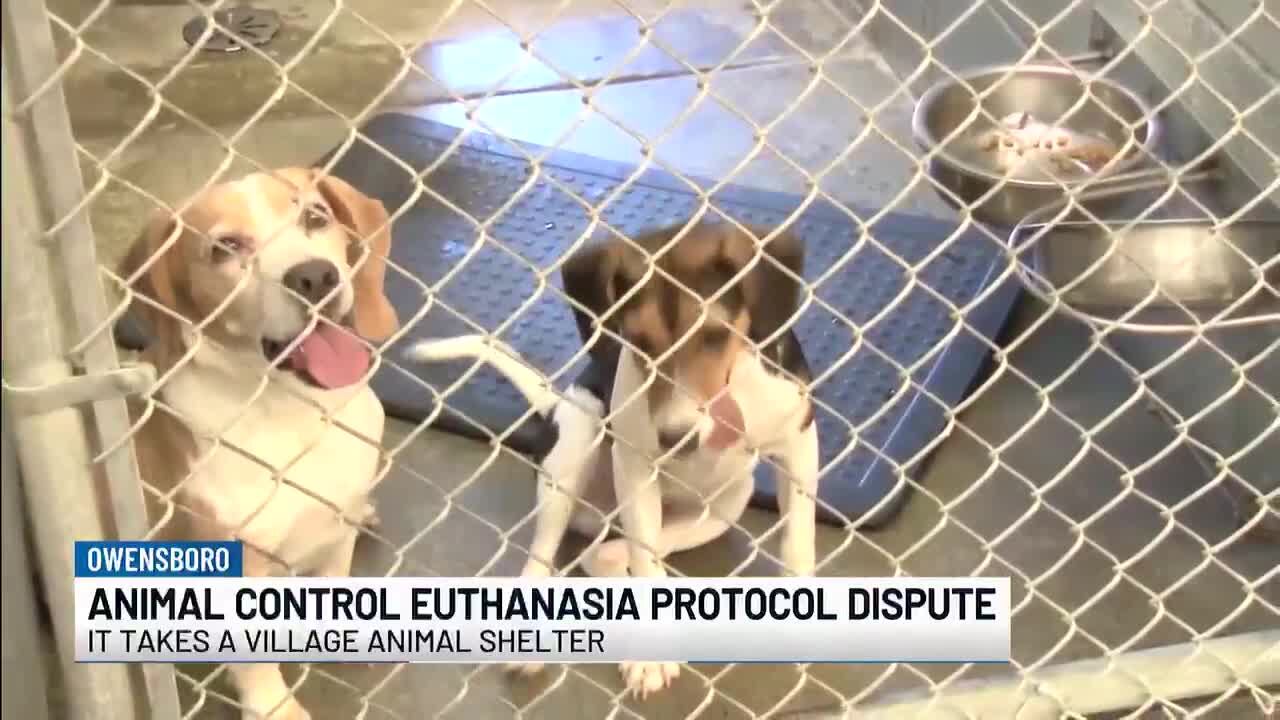 Former Animal Control Officer speaks out over a proposed “mass ...