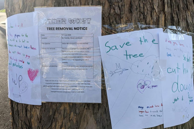 Neighbourhood erupts over Aussie council's plan to axe 40-year-old ...