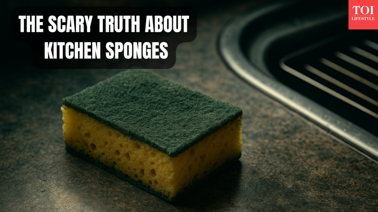 Be aware of your kitchen sponge: What it’s really hiding and how to ...
