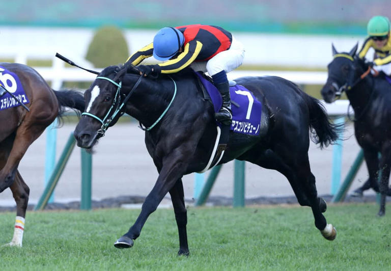 【マイルCS／危険な人気馬】マイルGI馬3強の一角に“黄信号”データ浮上 消しレベルの「1/63と0/4」