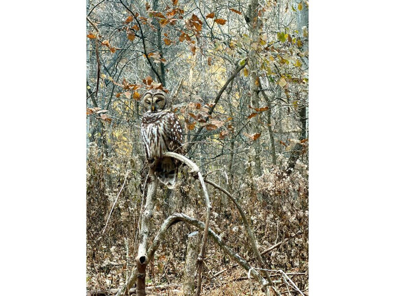 🌱 Patch AM: East Convenience Center reopens with major upgrades