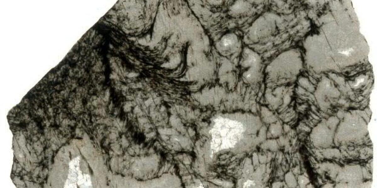 Uni Graz beteiligt: KI spürt „Echo des Lebens“ in uraltem Gestein