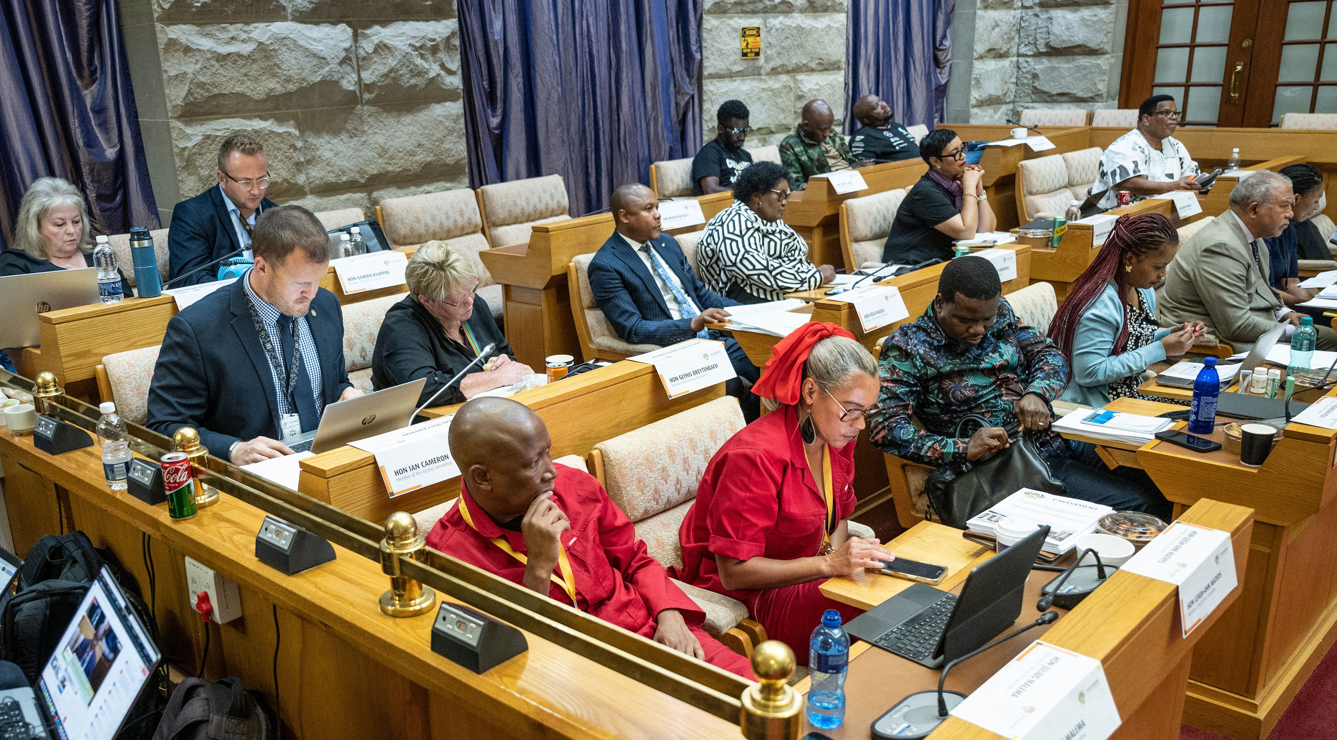 Parliament's ad hoc committee hears from Phahlane