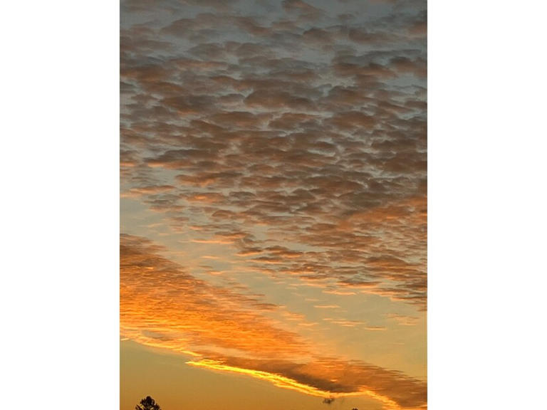 🌱 Patch AM: Shorewood's Atwater Beach sees vital restoration efforts