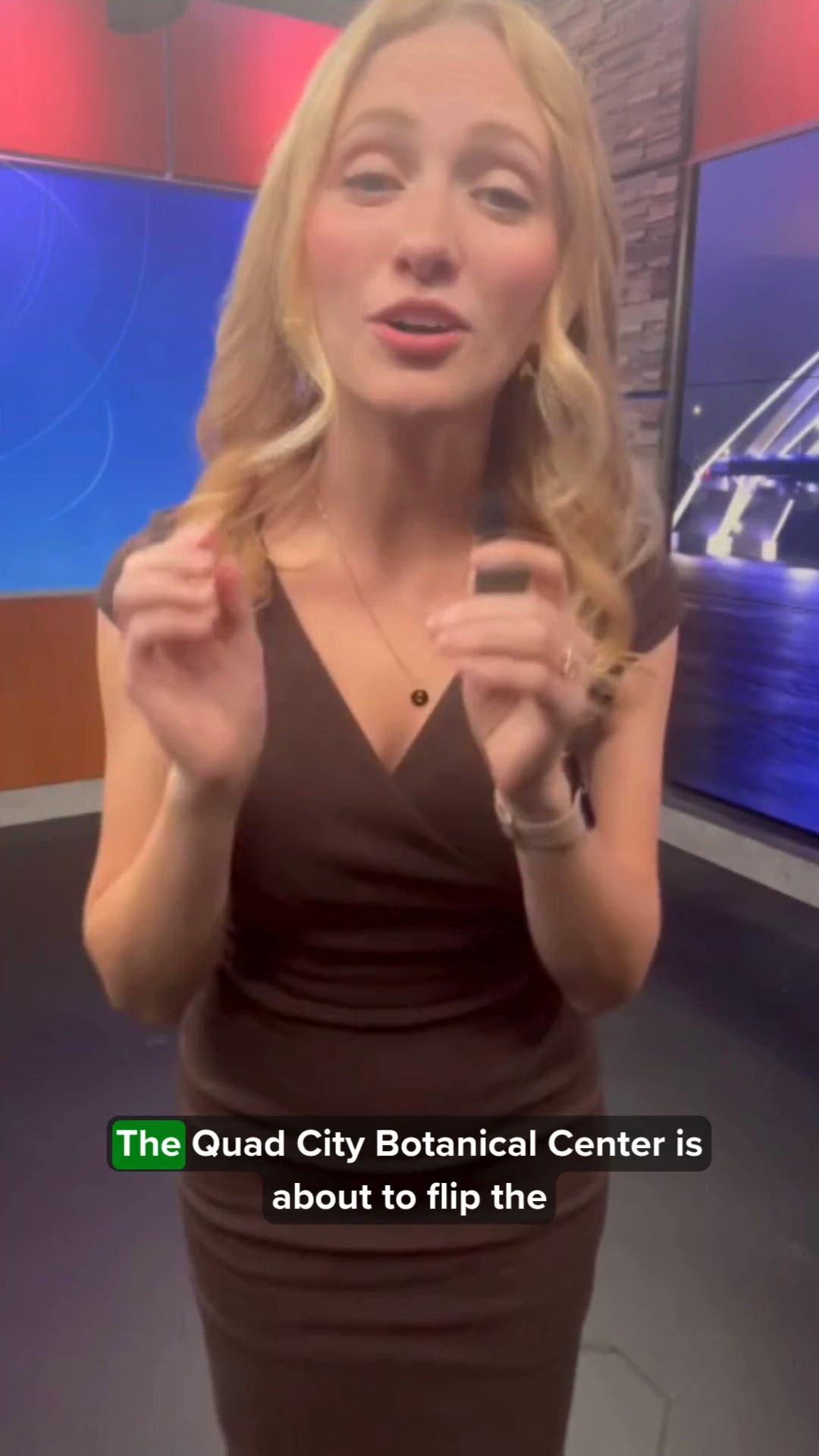 Holiday Lights returns to the Quad City Botanical Center