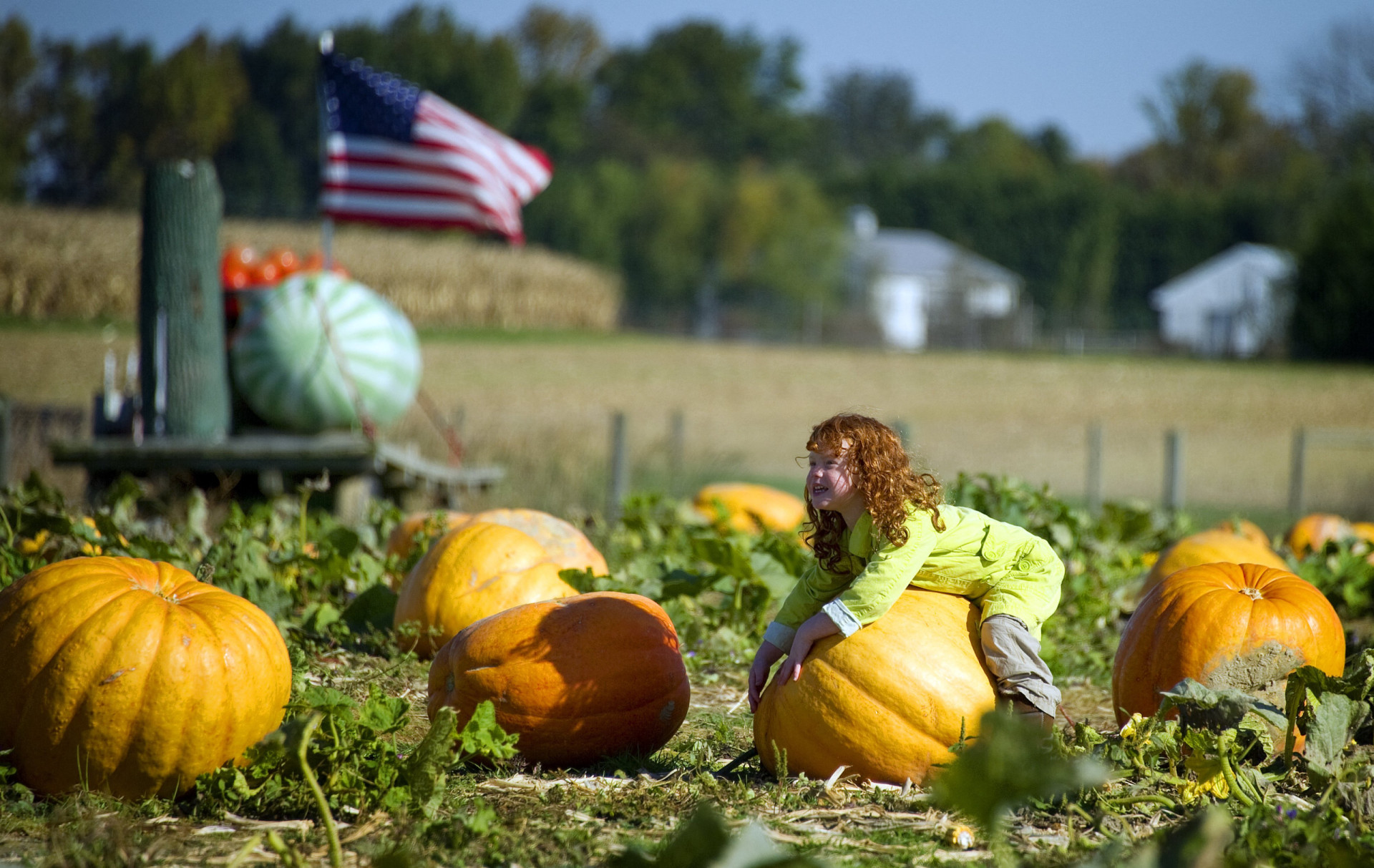 Common pesticide found to cause hidden brain damage