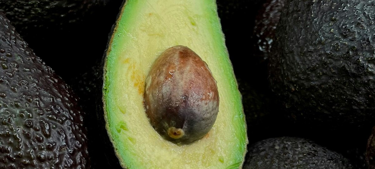 Everything You Need to Know About How to Select, Store and Freeze Avocados