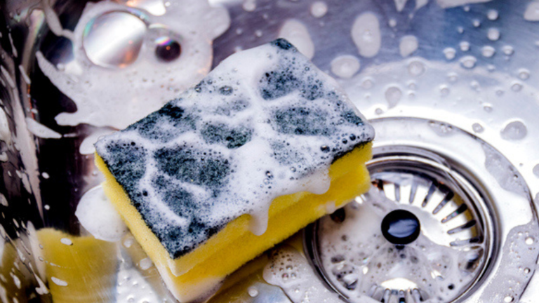 Be aware of your kitchen sponge: What it’s really hiding and how to ...