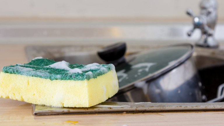 Be aware of your kitchen sponge: What it’s really hiding and how to ...