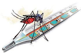 Dip in dengue cases, but malaria infections remain close to last year’s ...