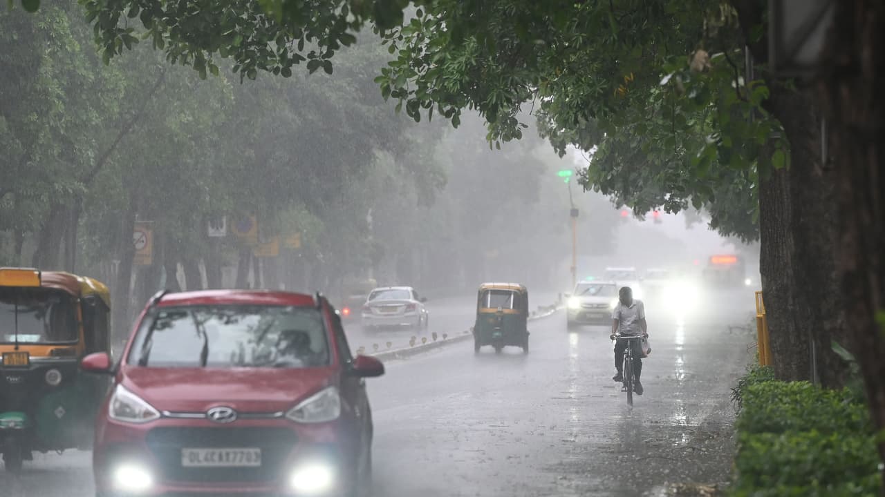 Chennai Weather Update (November 18): Are Schools Closed Today Amid IMD ...