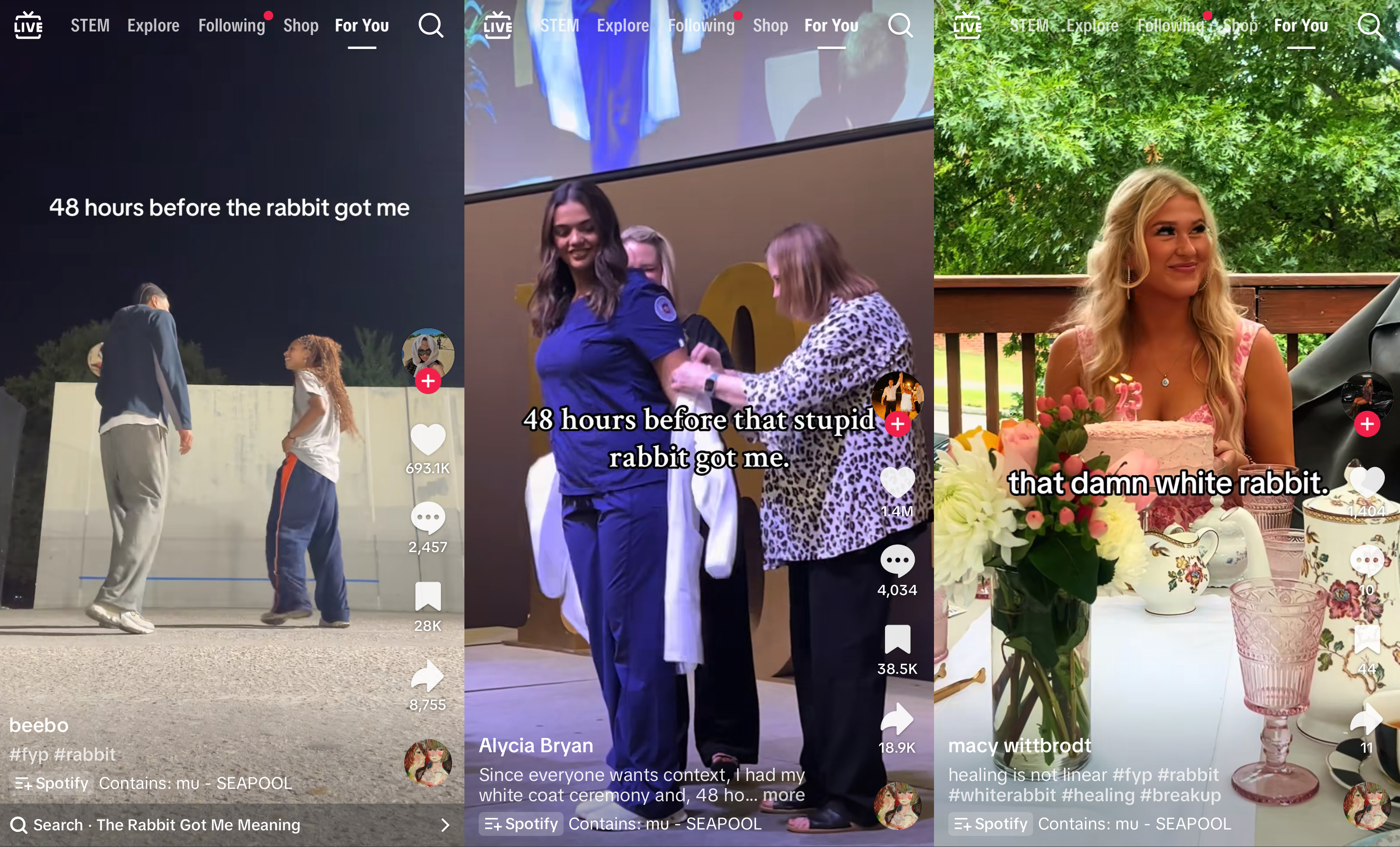 The White Rabbit TikTok trend explained