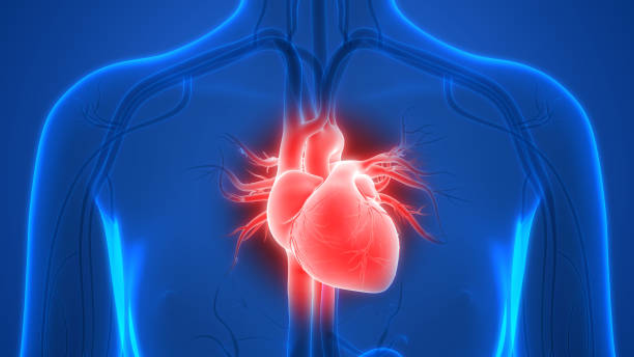 Sugar or salt: Which one hurts the heart more?