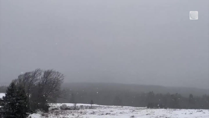 Windy and snowy day out on the farm in New Brunswick